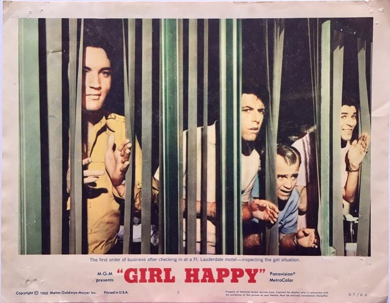 Girl Happy : The Film Poster Gallery