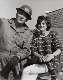 Hellfighters : The Film Poster Gallery