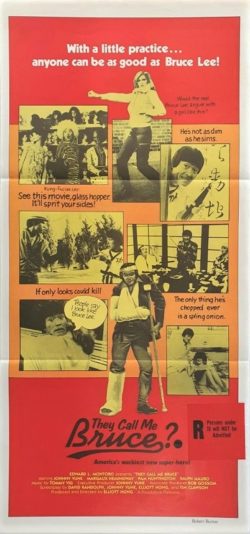 They Call Me Bruce : The Film Poster Gallery