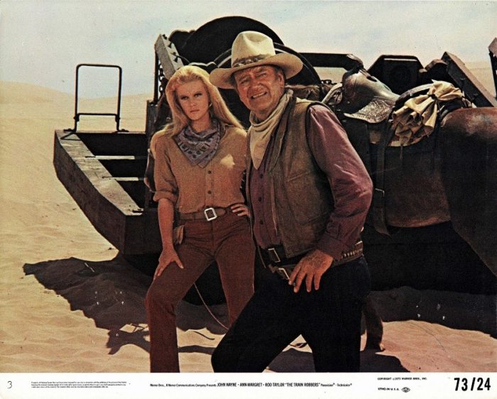 Train Robbers, The : The Film Poster Gallery