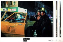 Maximum Risk : The Film Poster Gallery